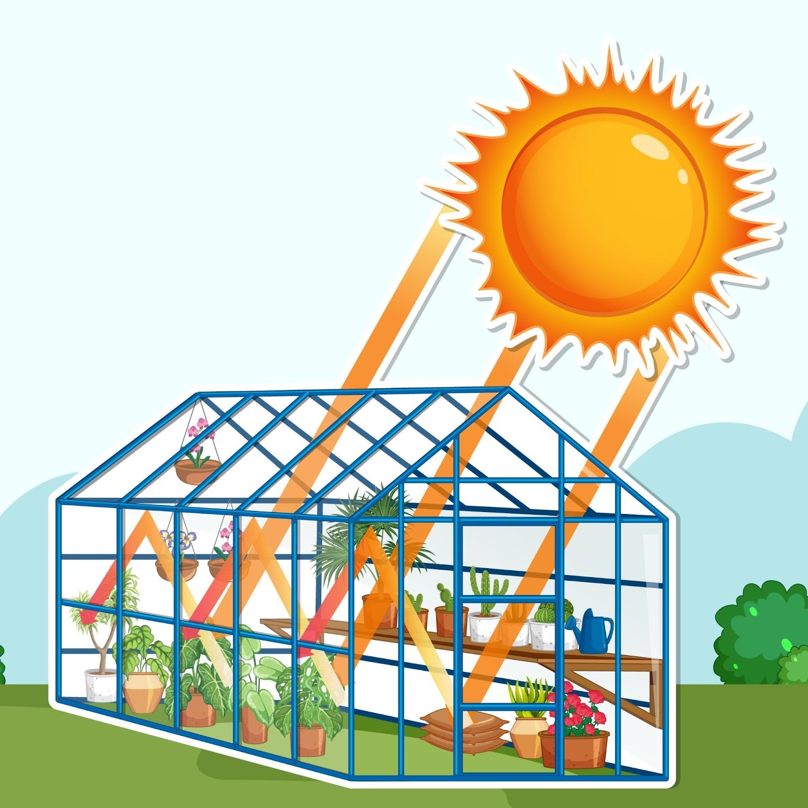How Does a Greenhouse Work? Let's Find Out! - Aosom